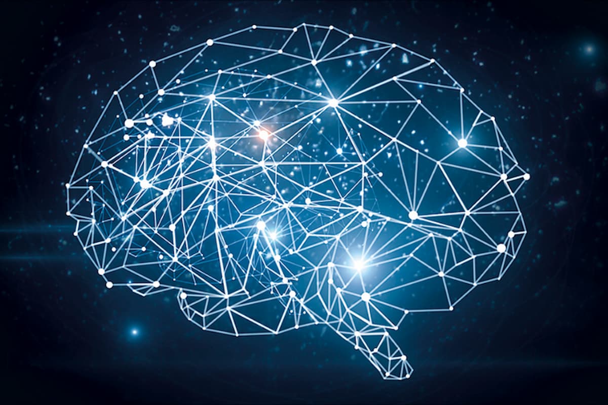 CEREBRO(S), una exposición que nos adentra en las dimensiones humanas ...
